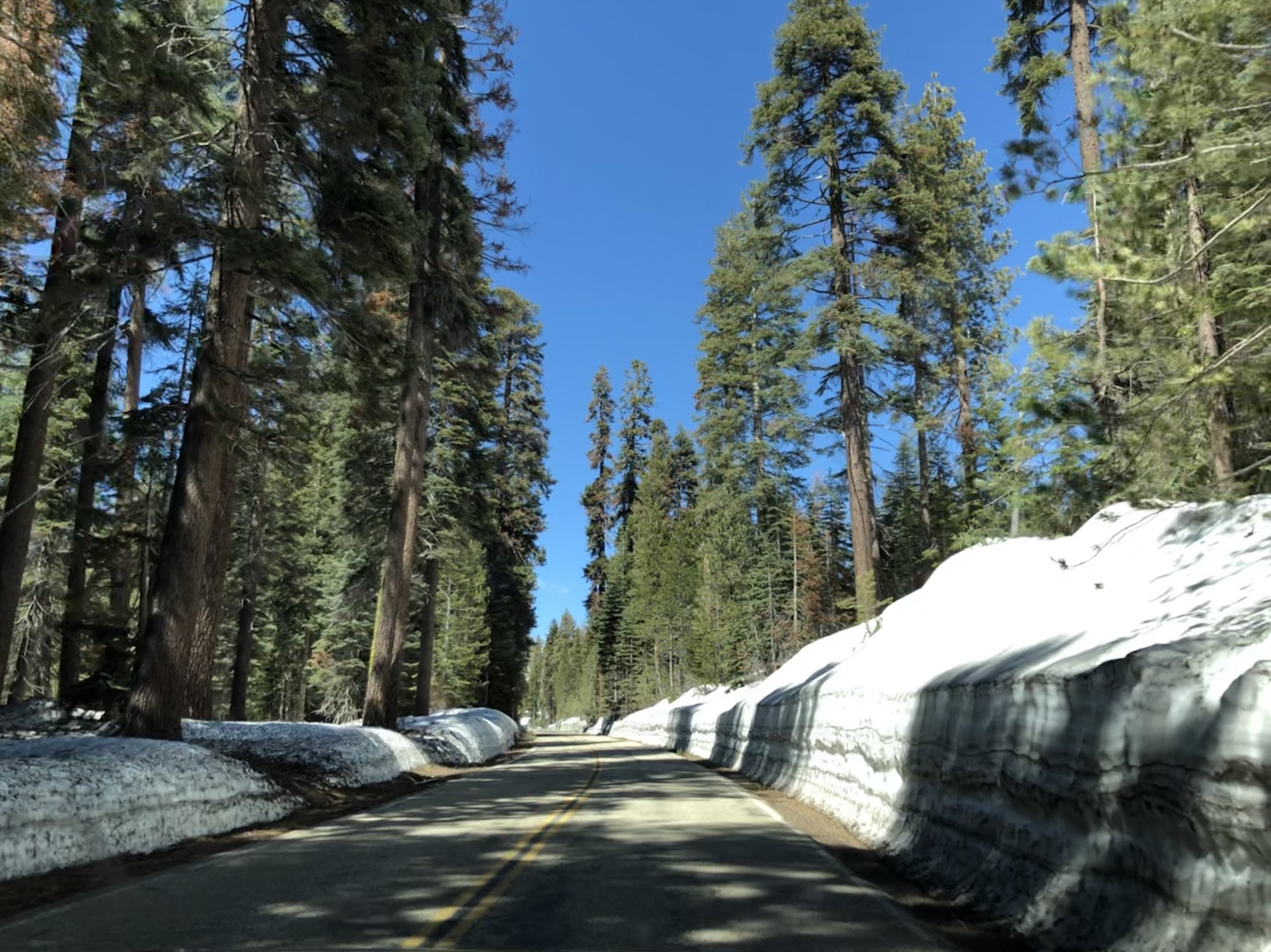 California – Sequoia, Kings Canyon, Yosemite, and Pinnacles National ...